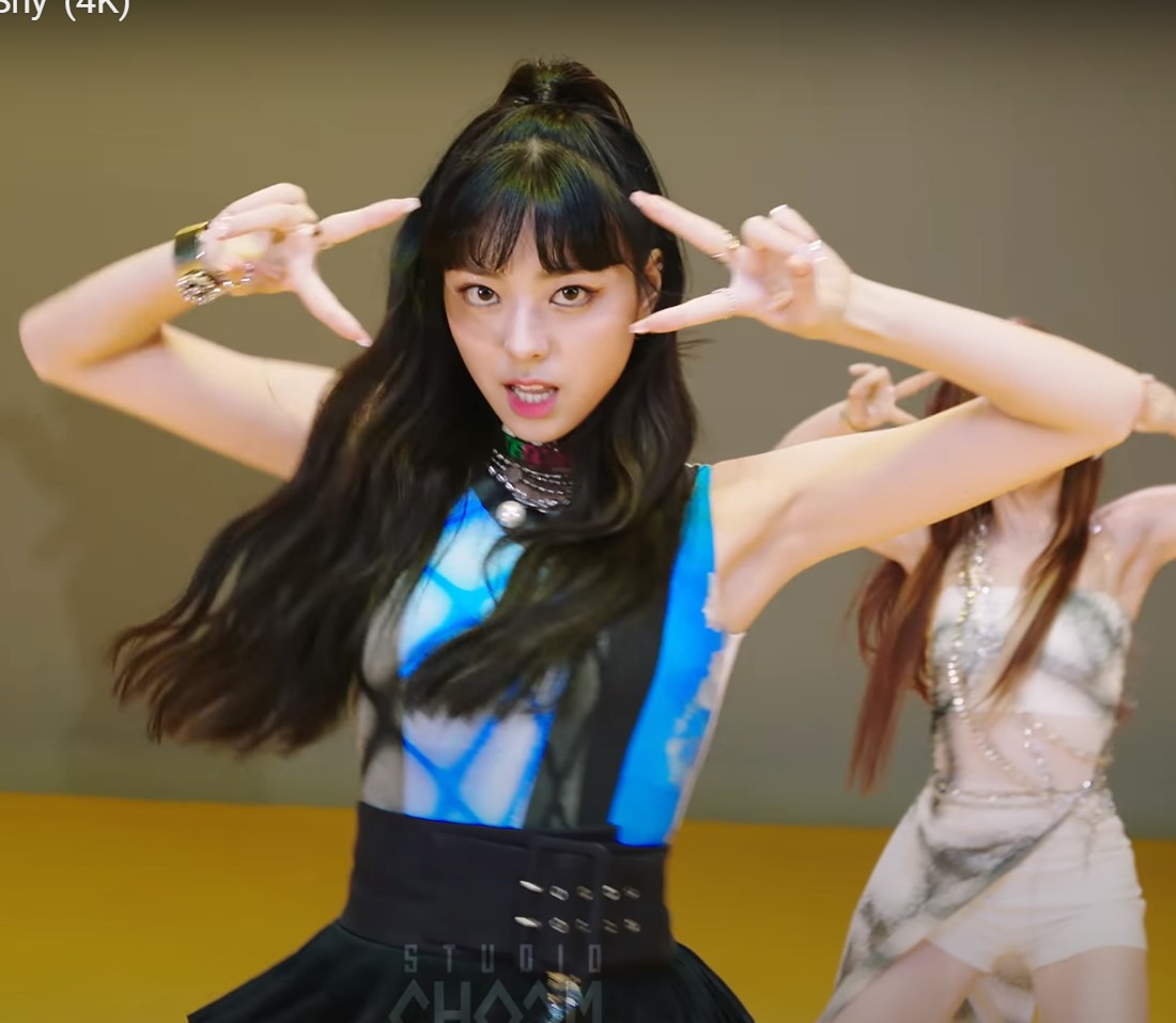 ITZY Celebrity Spirit Animals | Sexy Chi